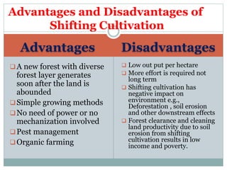 Shifting Cultivation By anurag Prajapati | PPTX