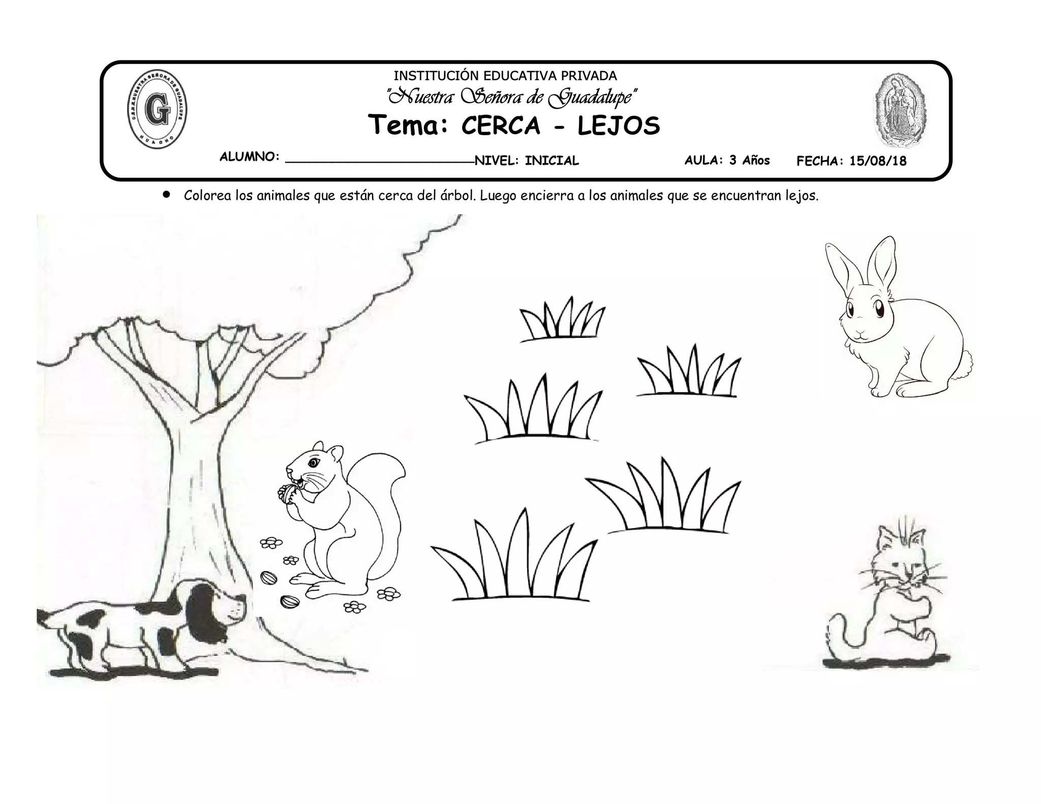 16 tema cerca lejos | PDF