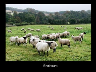 Western Civilization I: Era of Religious Wars | PPT