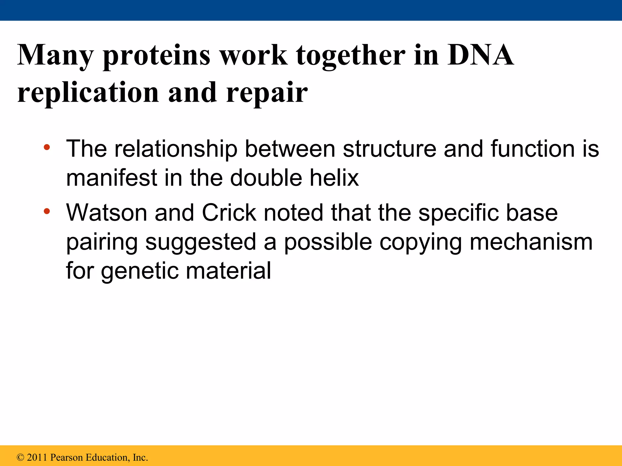 16 the molecular basis of inheritance | PPT