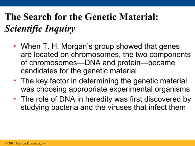 16 the molecular basis of inheritance | PPT