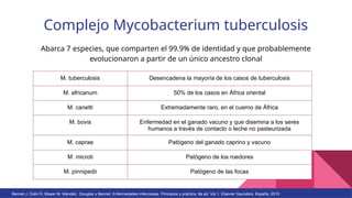 Infección por mycobacterium tuberculosis | PPTX