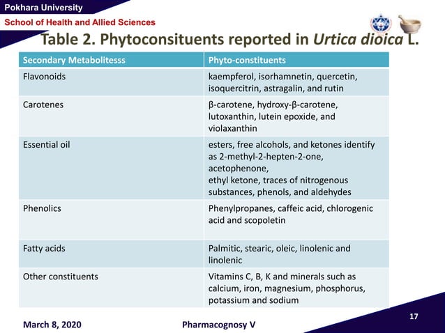 16 urtica dioica (sisno) | PPTX