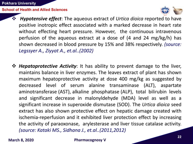 16 urtica dioica (sisno) | PPTX