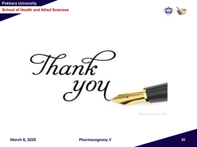 16 urtica dioica (sisno) | PPTX