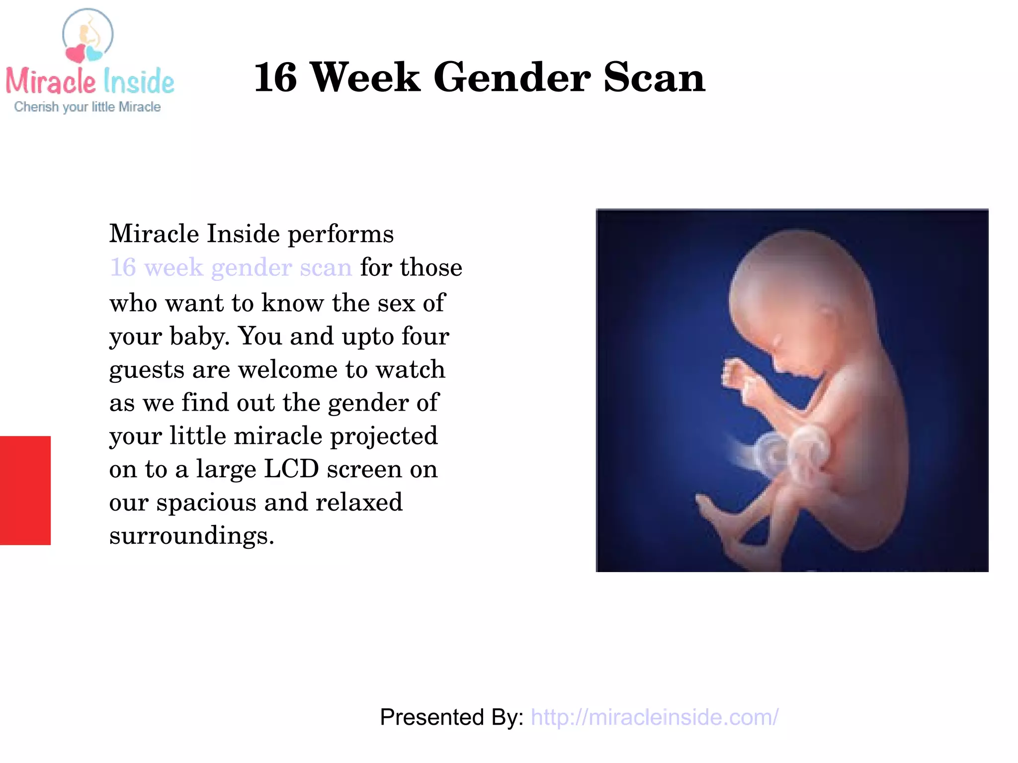 16 week gender scan | PPT