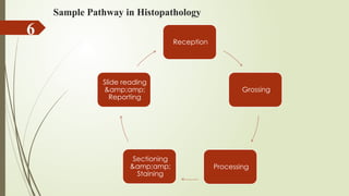 QUALITY CONTROL IN HISTOPATHOLOGY LABORATORY E.pp