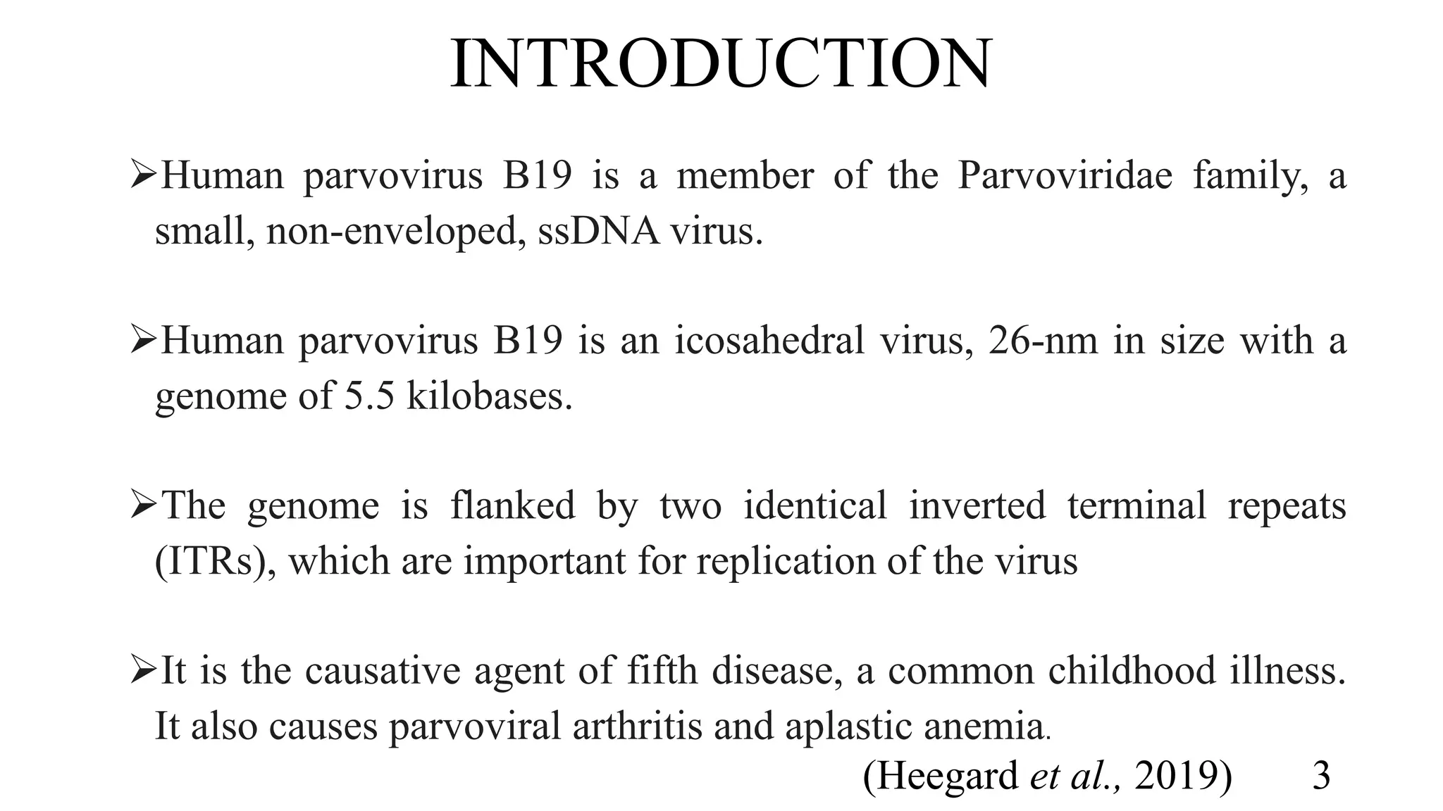 Human parvovirus a potential bioweapon.pptx