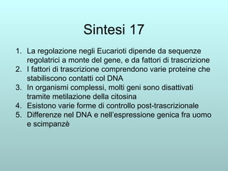 Genetica 17 | PPT