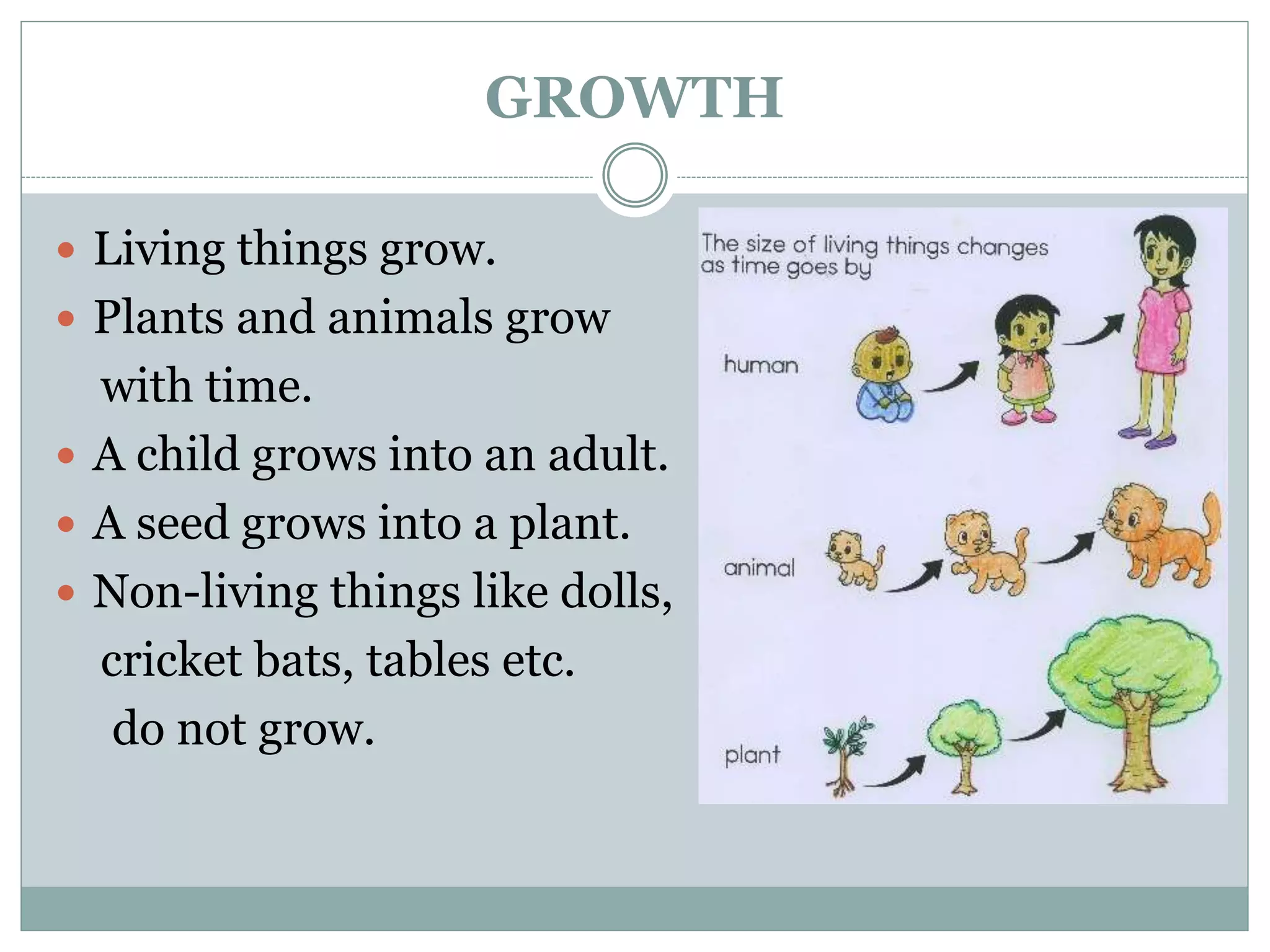 17.living and non living things | PPTX