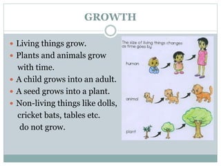 17.living and non living things | PPTX