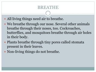 17.living and non living things | PPTX