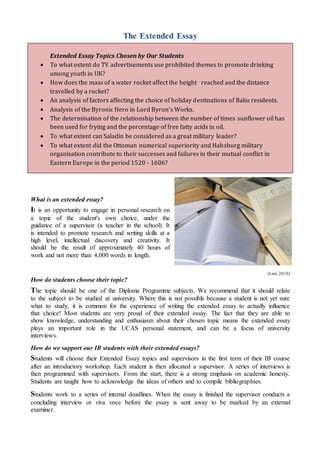 17. extended essay | PDF