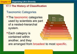 17.1 The History of Classification | PPT