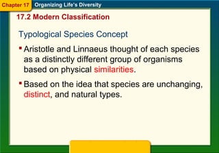 17.2 Modern Classification | PPT