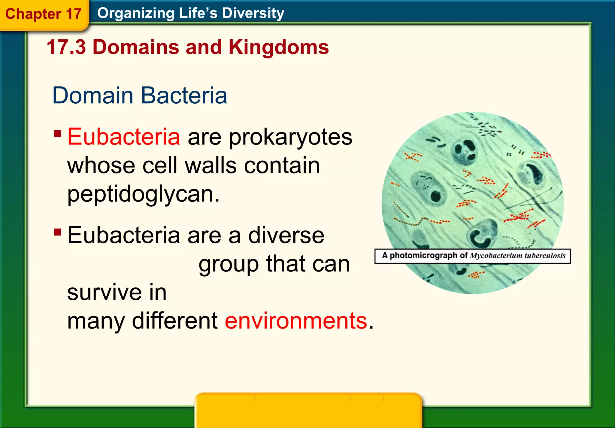 17.3 Domains and Kingdoms | PPT