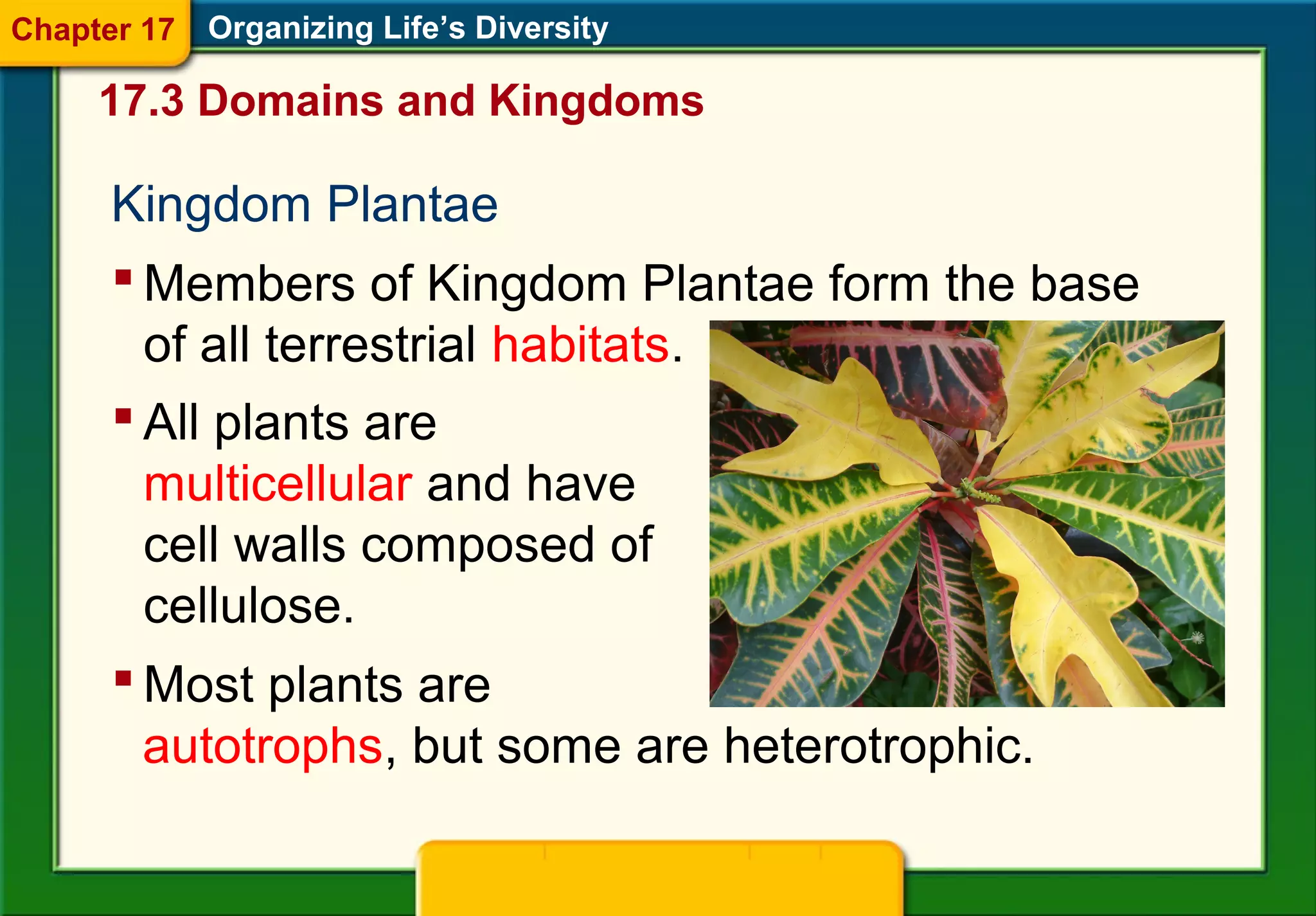 17.3 Domains and Kingdoms | PPT