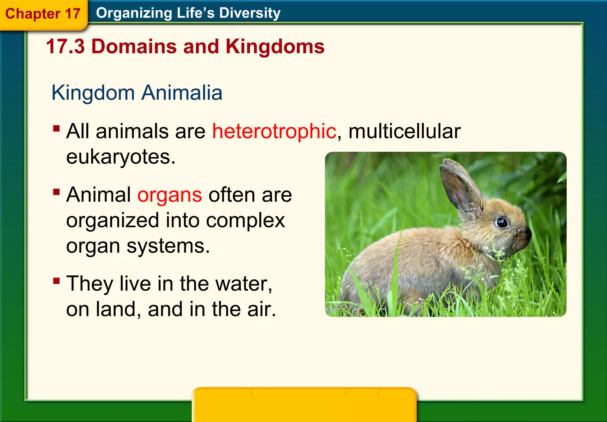 17.3 Domains and Kingdoms | PPT