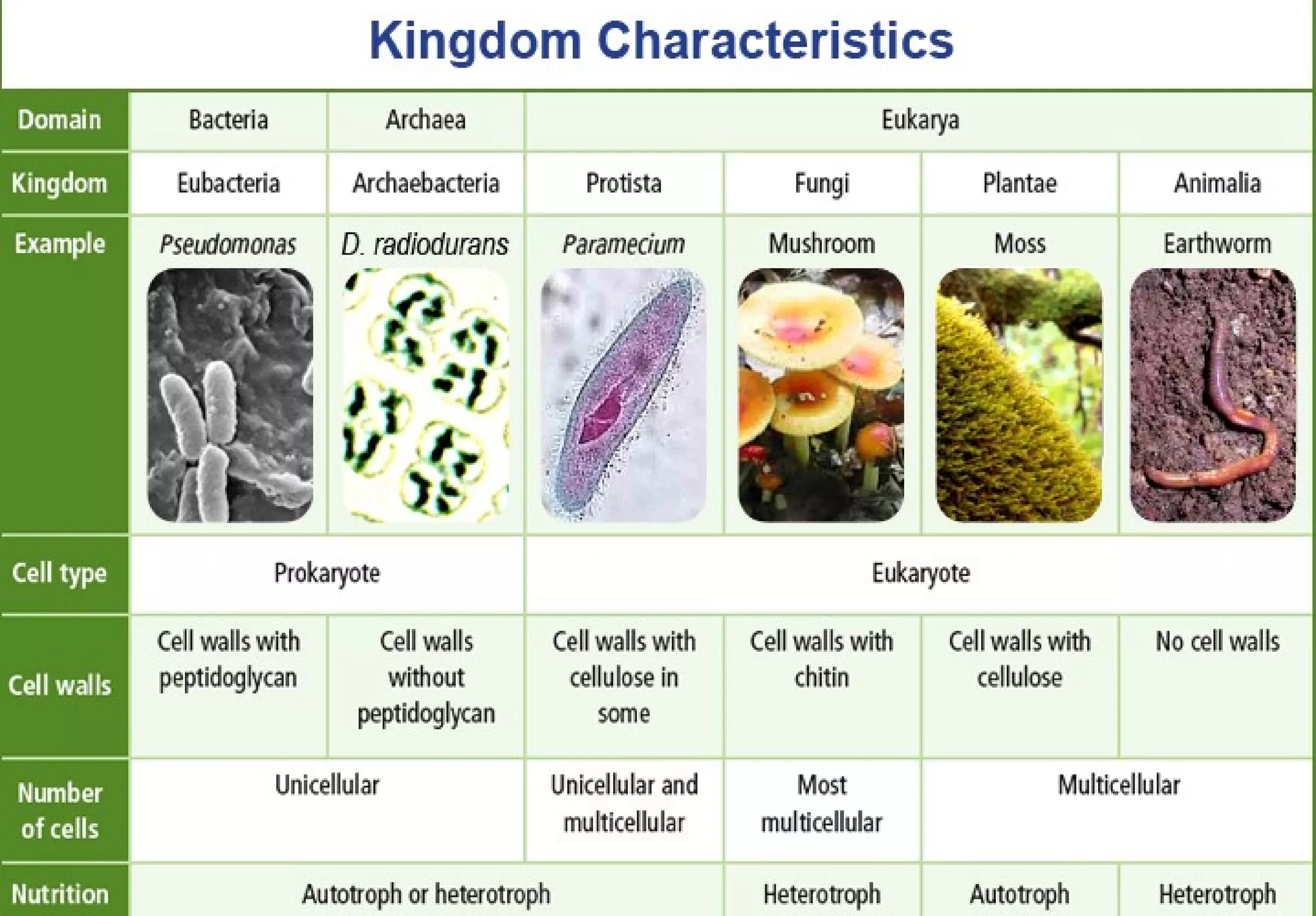 17.3 domains and kingdoms | PPT