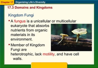 17.3 domains and kingdoms | PPT