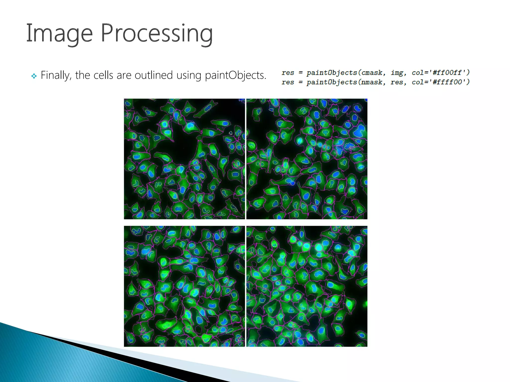 Data Science - Part XVII - Deep Learning & Image Processing | PDF