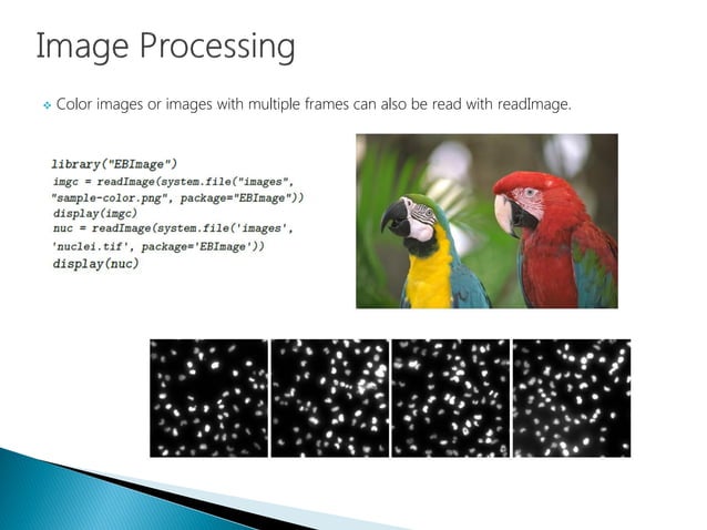 Data Science - Part XVII - Deep Learning & Image Processing | PDF