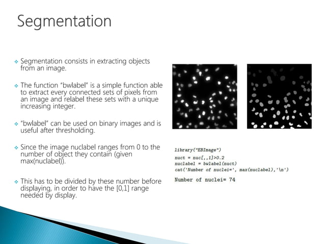 Data Science - Part XVII - Deep Learning & Image Processing | PDF