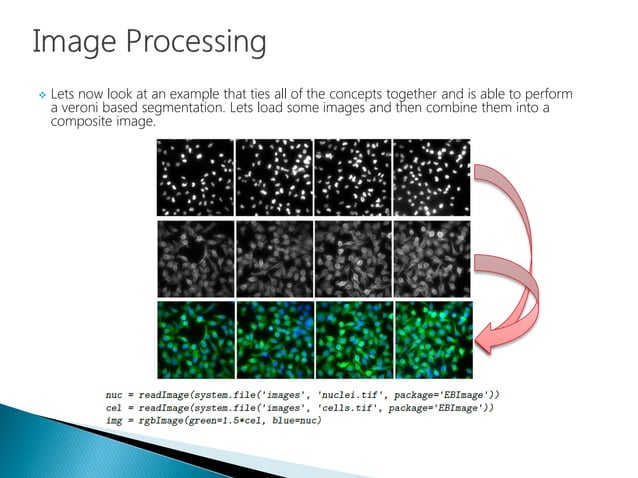 Data Science - Part XVII - Deep Learning & Image Processing | PDF