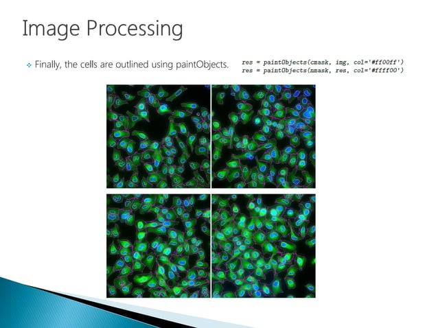Data Science - Part XVII - Deep Learning & Image Processing | PDF