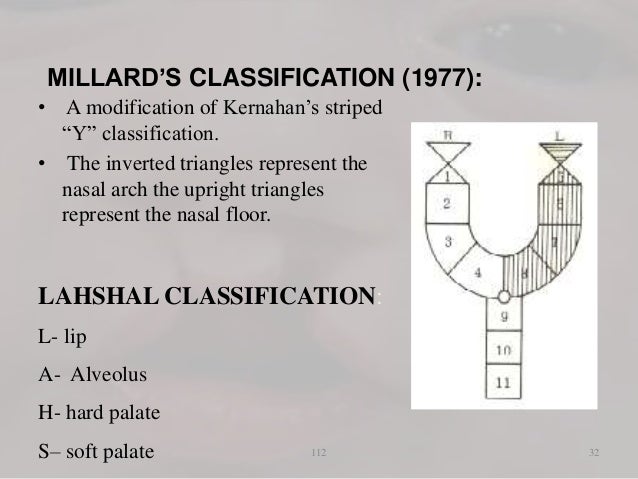 role of orthodontist in Cleft lip and palate management