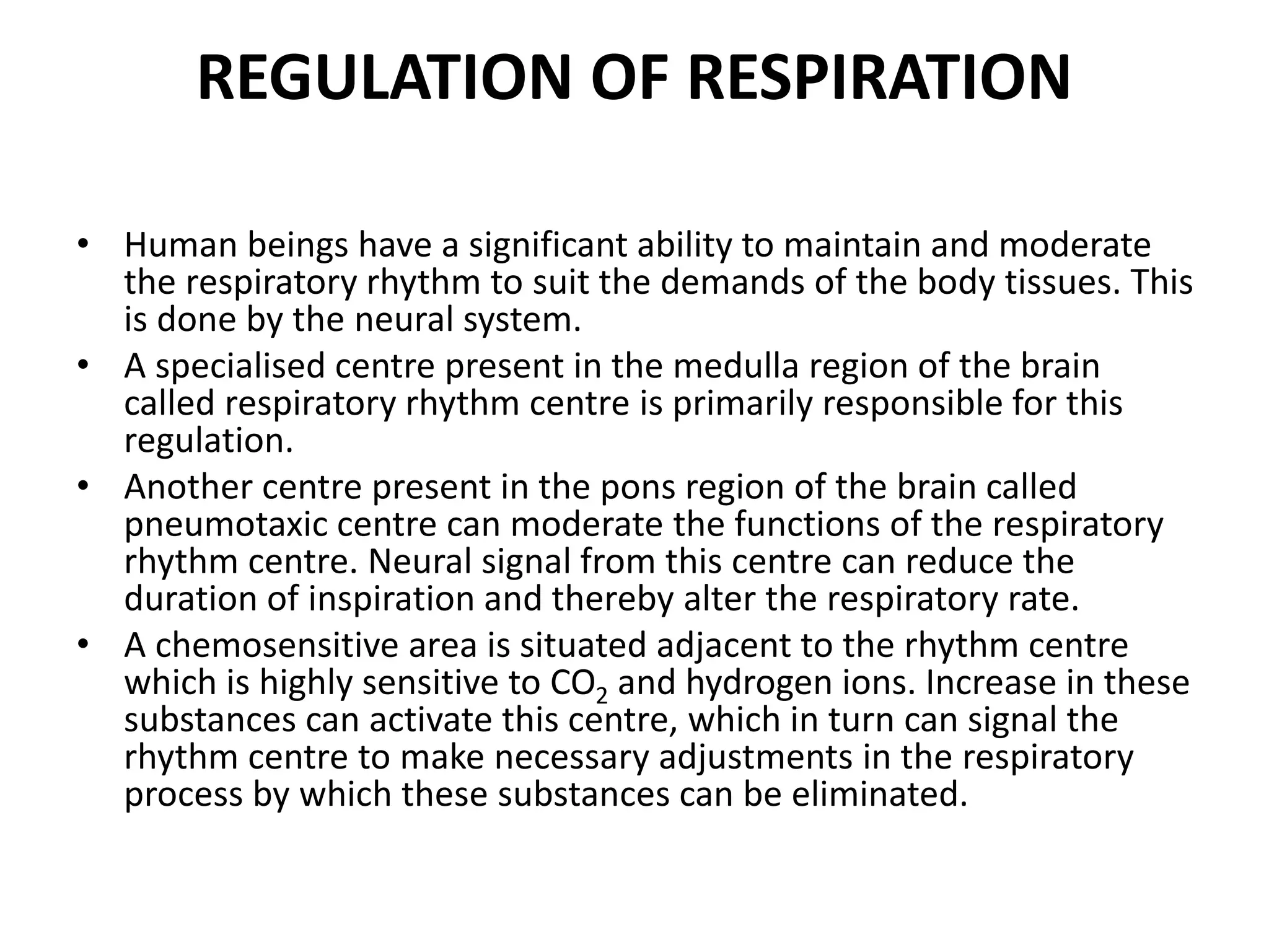 17. Breathing and Exchange of Gases | PPTX