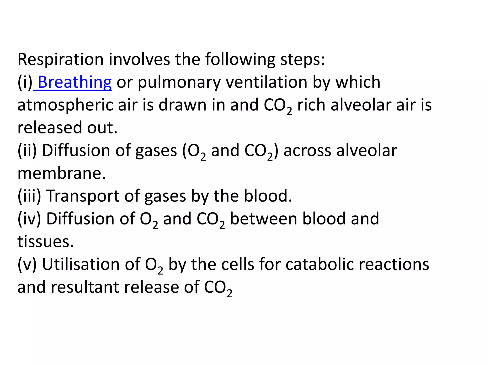 17. Breathing and Exchange of Gases | PPTX