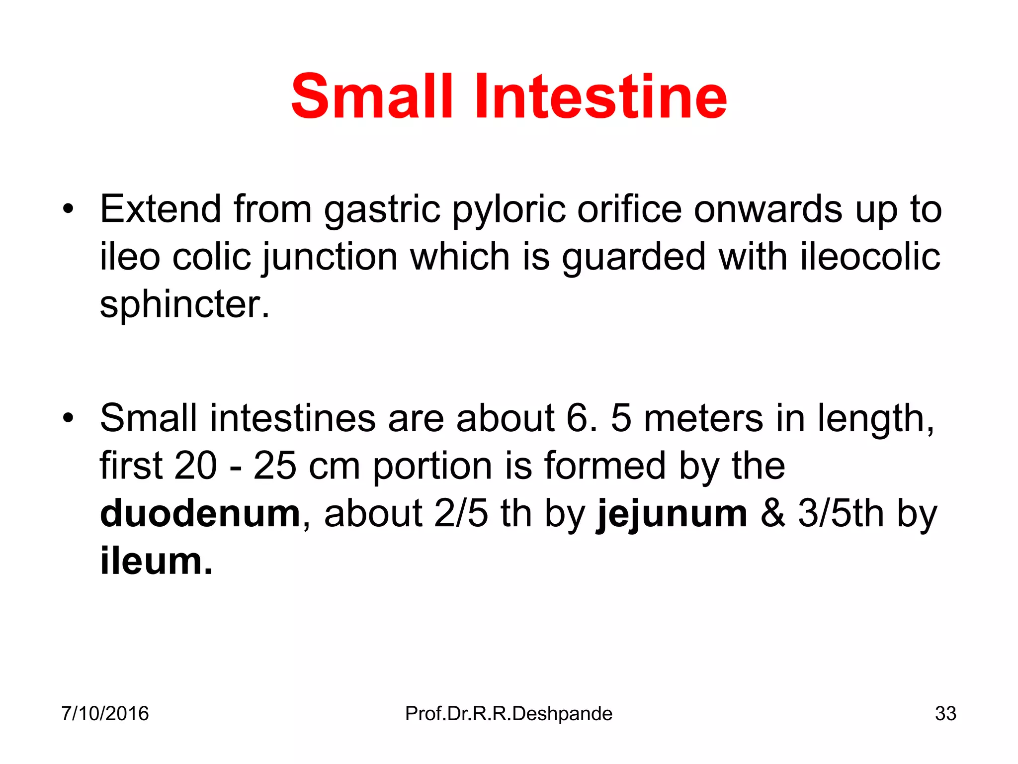 Gastro Intestinal Tract | PDF