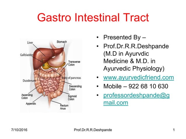 Gastro Intestinal Tract | PDF | Digestive Disorders | Diseases and ...