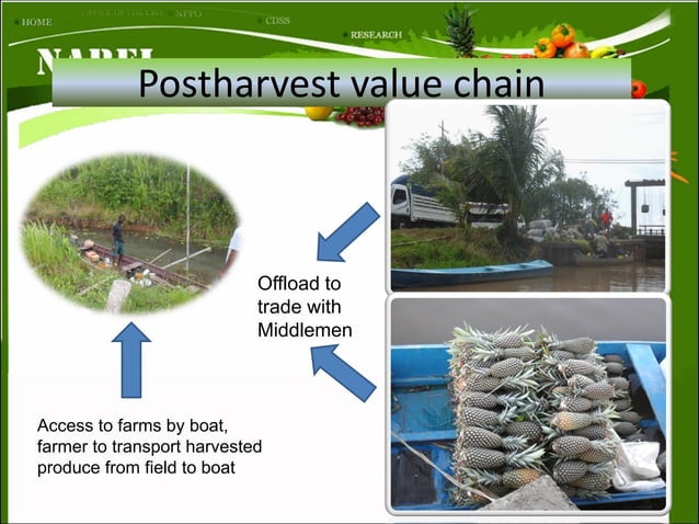 An overview of postharvest losses and waste in Guyana | PPT