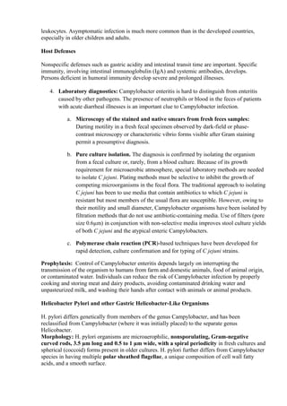 Campylobacter & Helicobacter. Medical Importance, Pathogenesis ...