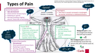 Total Pain | PPTX