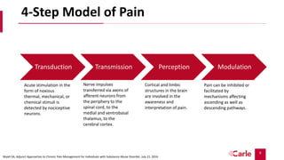 Symptom Management in Palliative Care | PPTX