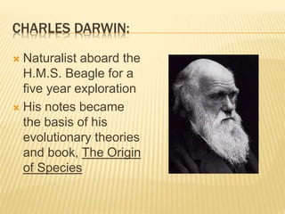 Evolution Notes | PPTX