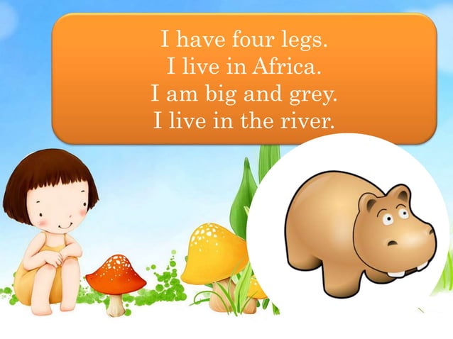 17. who am i gda animal17 | PPT