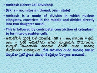 Types of cell divisions | PPTX