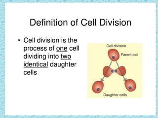 Types of cell divisions | PPTX