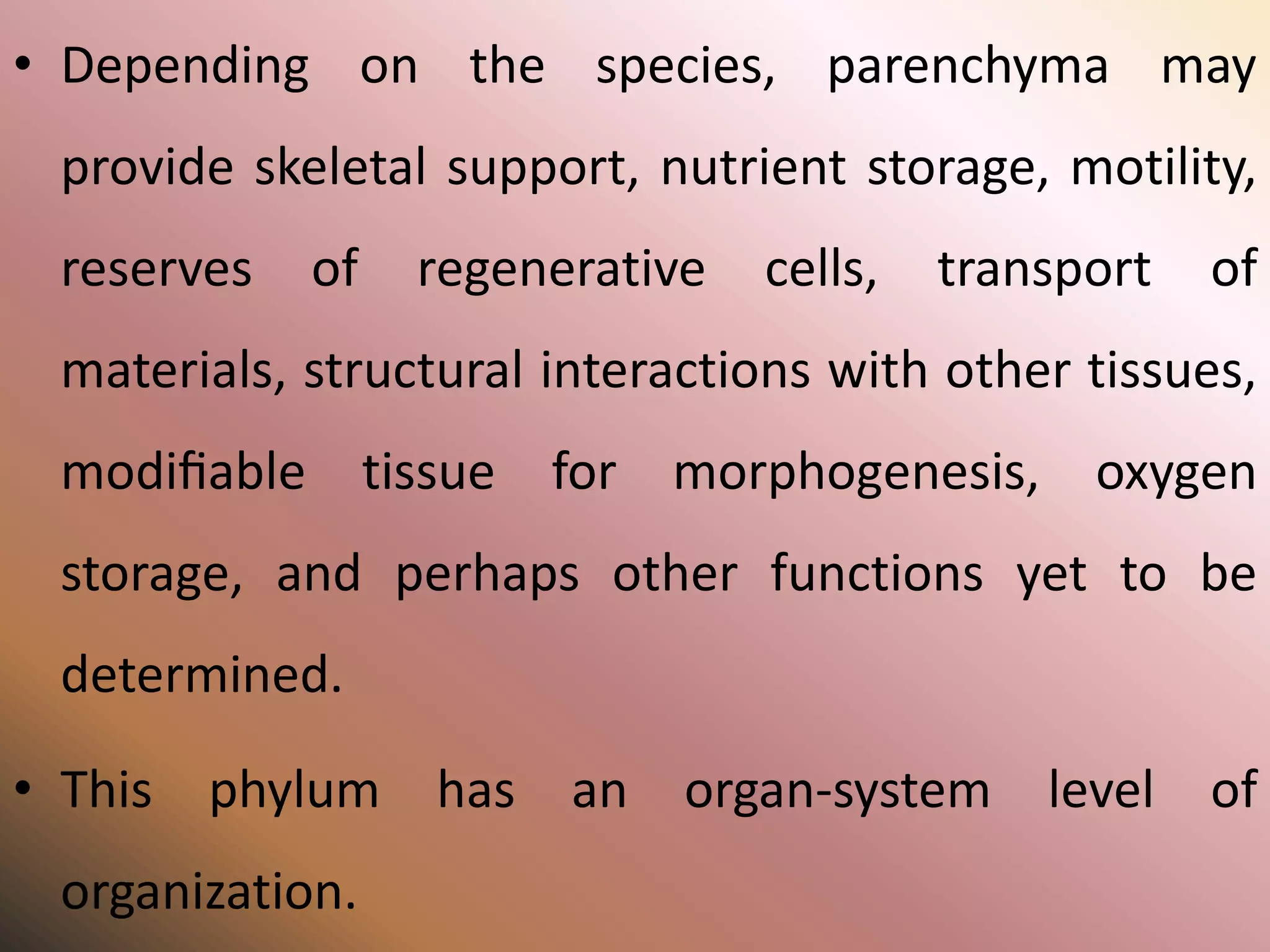 17. phylum platyhelminthes with full explanation | PPTX