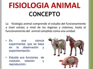 constantes fisiologica en animales | PPTX