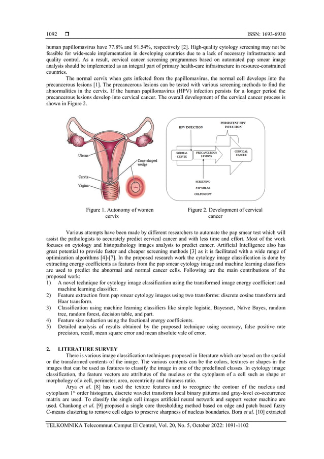 Cervical cancer diagnosis based on cytology pap smear image classification using fractional ...