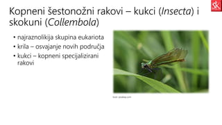 17.+Kratak+pregled+bioraznolikosti+kopnenih+staništa (1).pptx