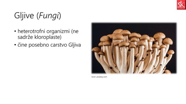 17.+Kratak+pregled+bioraznolikosti+kopnenih+staništa (1).pptx