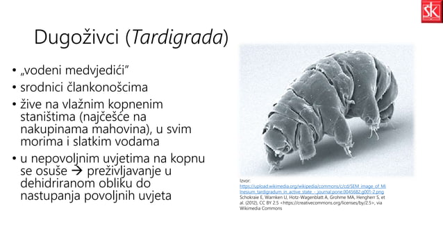 17.+Kratak+pregled+bioraznolikosti+kopnenih+staništa (1).pptx
