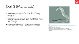 17.+Kratak+pregled+bioraznolikosti+kopnenih+staništa (1).pptx