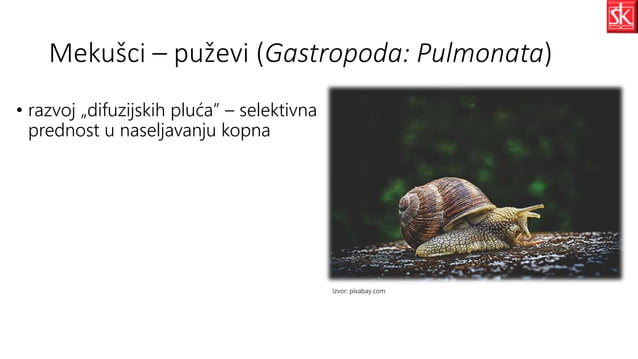 17.+Kratak+pregled+bioraznolikosti+kopnenih+staništa (1).pptx